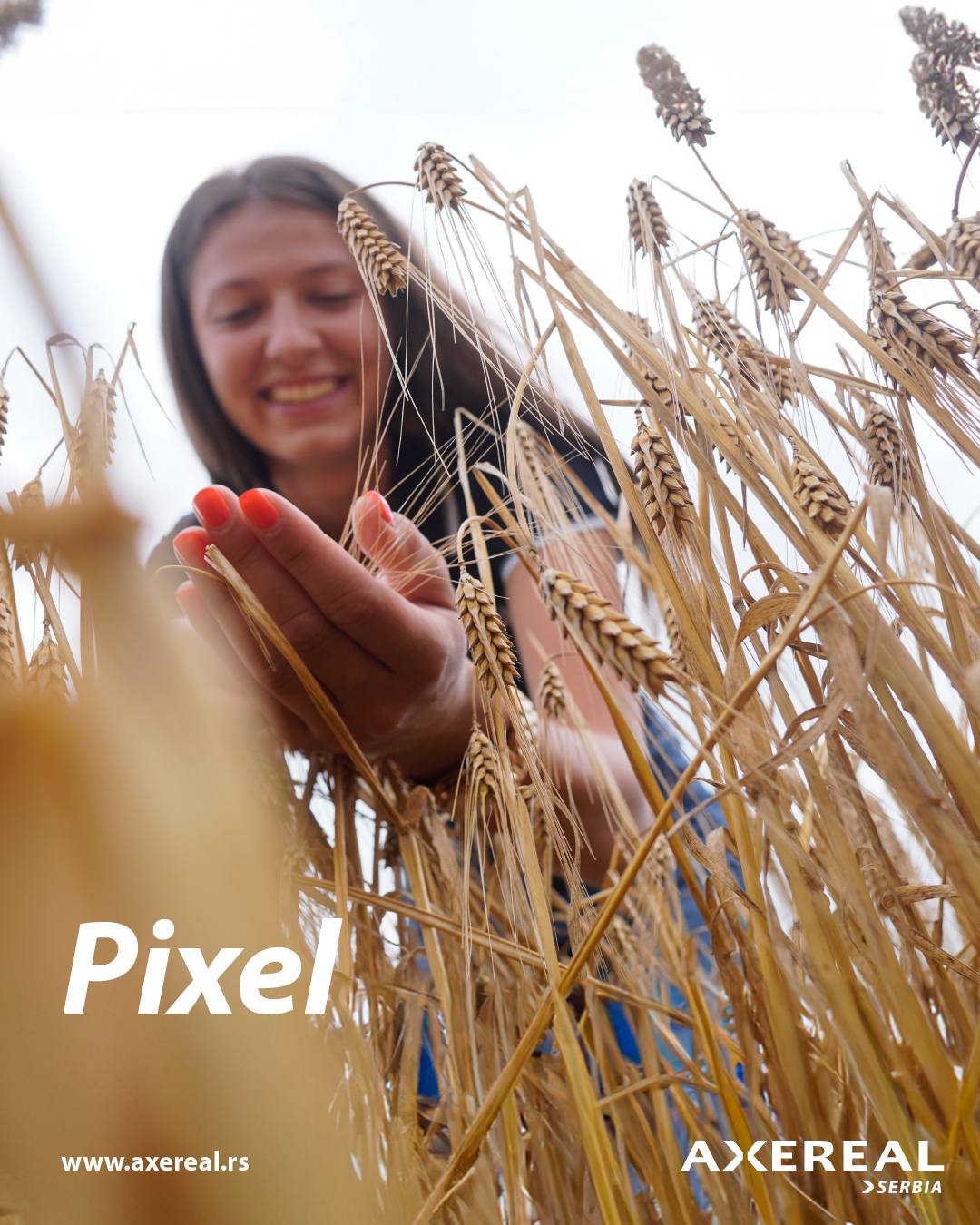 Pixel - ječam za svaku njivu!